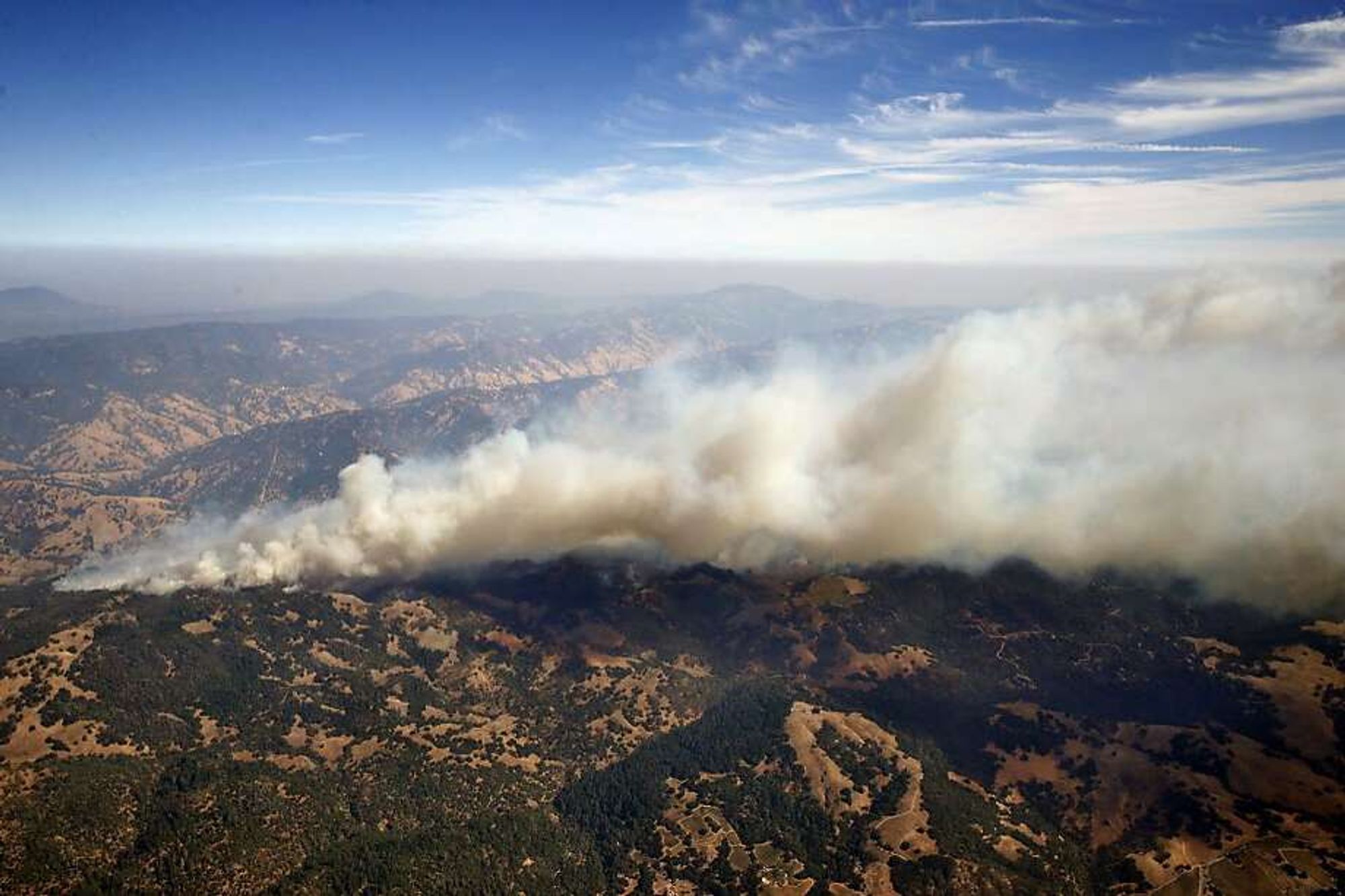 California fires’ overlooked consequence - The Daily Climate