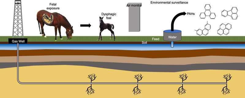 Fracking Effects On Animals How Biodiversity Loss Harms Human Health